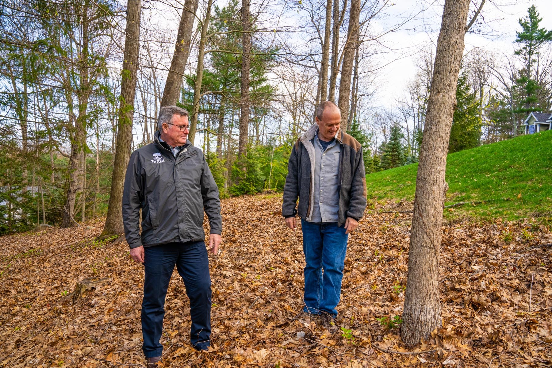 What to Do if a Tree Branch is on a Power Line to Your House